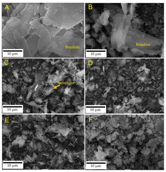 Effect of Ca2+ Replacement with Cu2+ Ions in Brushite on the Phase ...