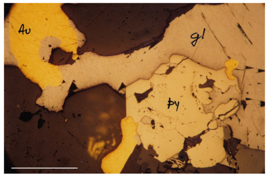 Determination of Gold Particle Characteristics for Sampling Protocol ...