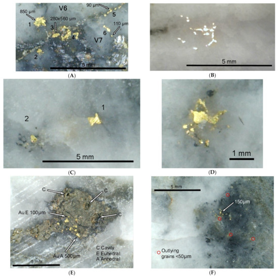 Determination of Gold Particle Characteristics for Sampling Protocol ...