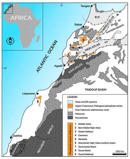 Phosphate Rocks: A Review of Sedimentary and Igneous Occurrences in Morocco