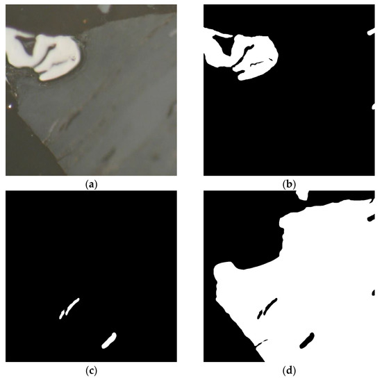 Application of Deep Learning in Petrographic Coal Images Segmentation