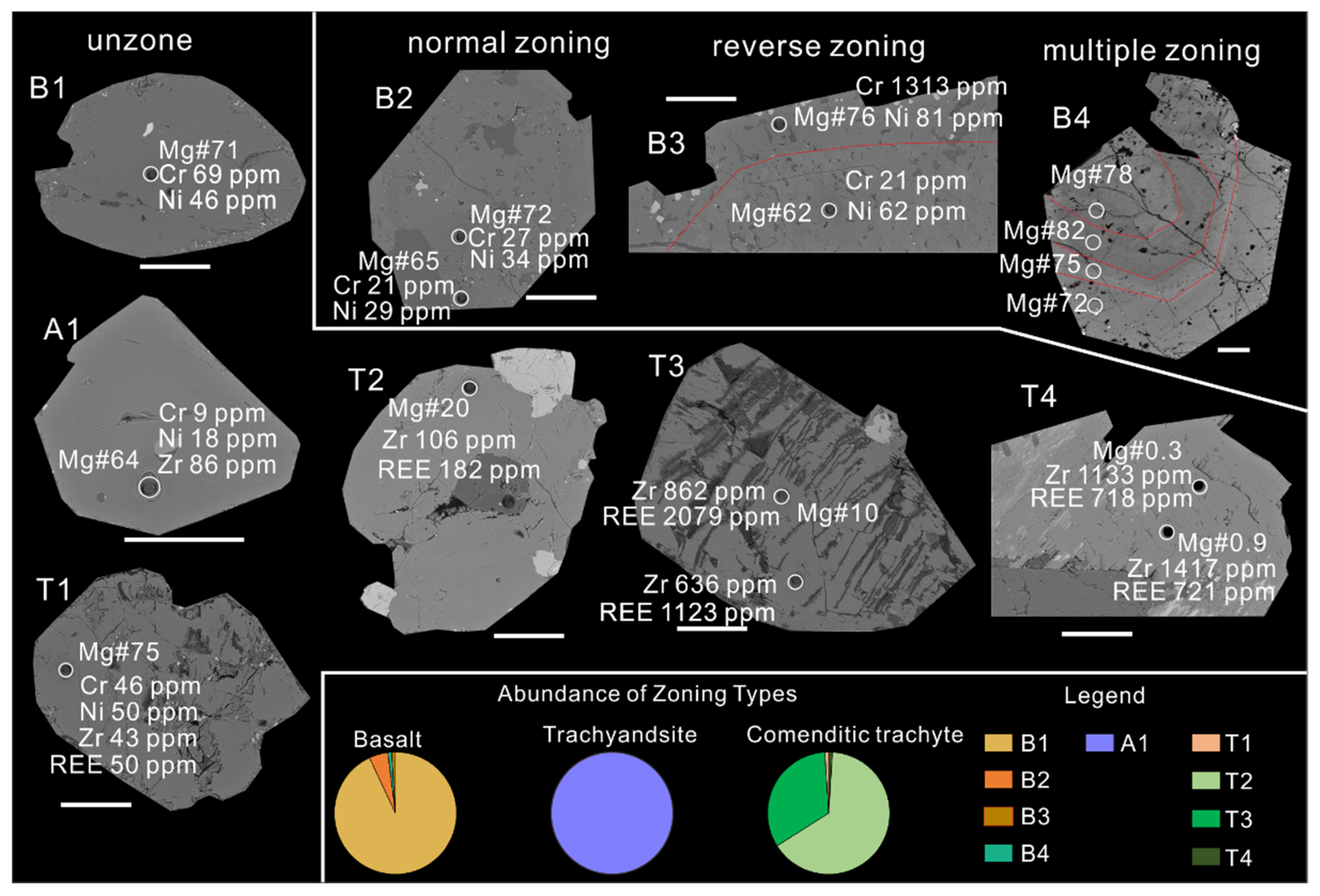 Geochemical Insights from Clinopyroxene Phenocrysts into the Magma ...