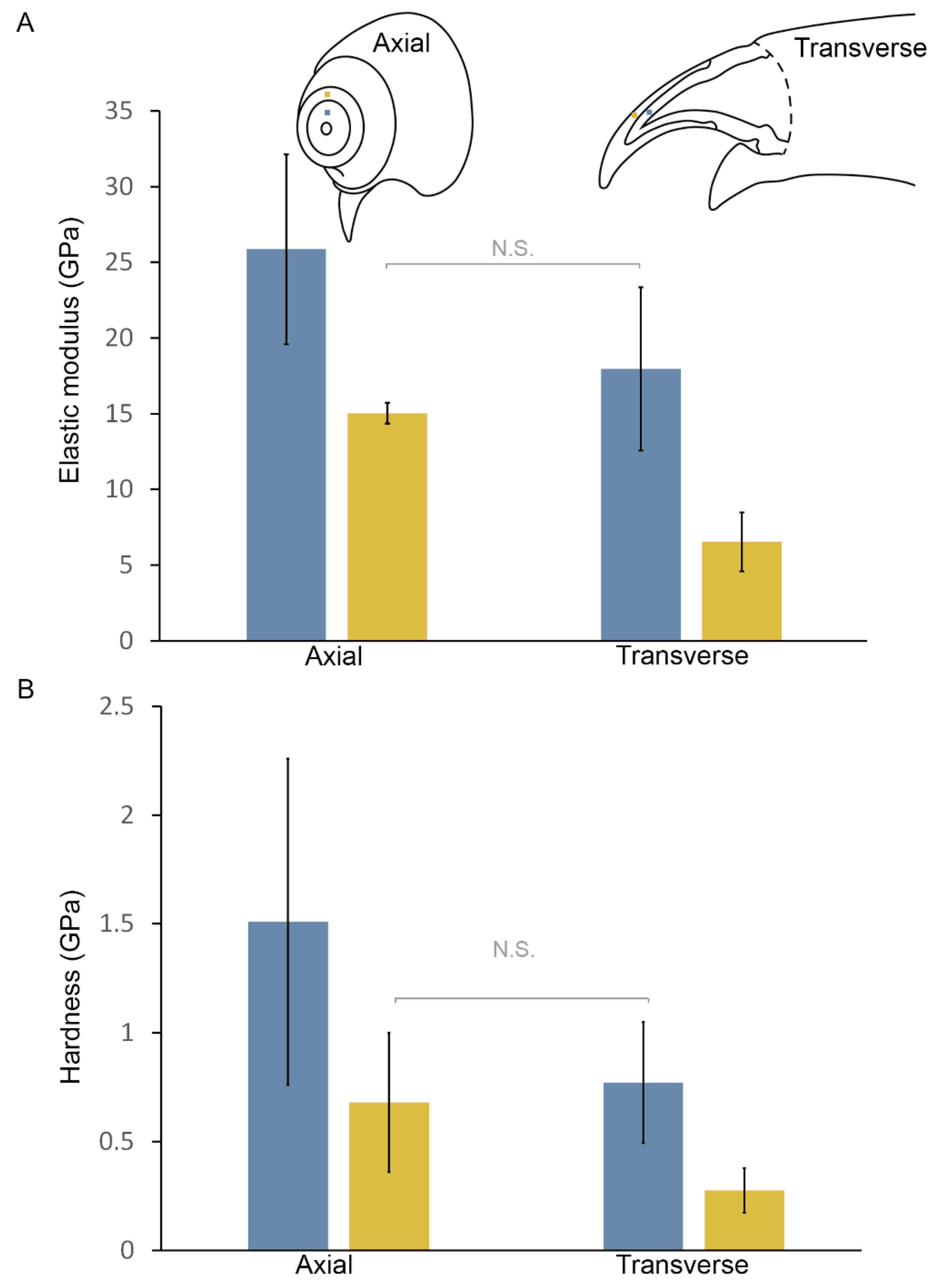 The Mechanical Consequences of the Interplay of Mineral Distribution ...