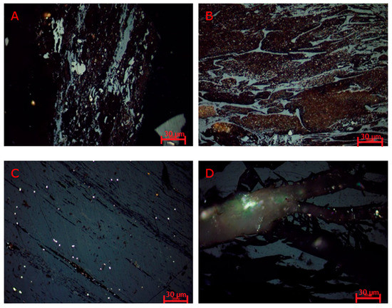 Coal Ash Content Measurement Based on Pseudo-Dual Energy X-ray Transmission