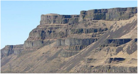 Mineralogy of Miocene Petrified Wood from Central Washington State, USA
