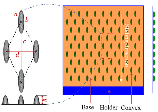 The Influence of Particle Size on Sliding Wear of a Convex Pattern Surface