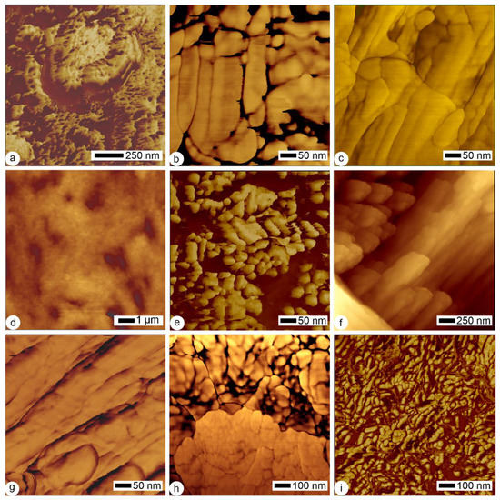 Vertebrate Taphonomy and Diagenesis: Implications of Structural and ...