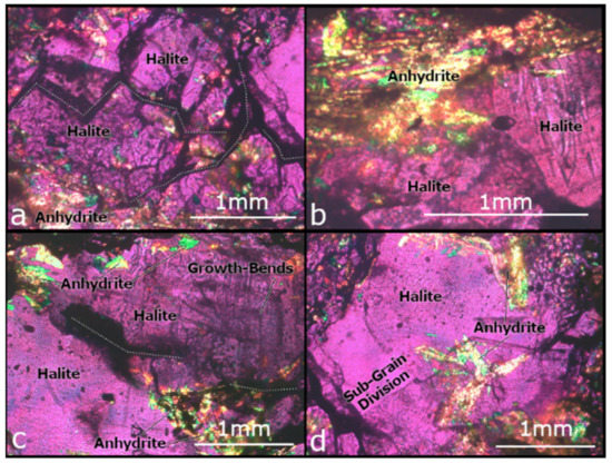 Magnetic Fabrics and Petrography of Rocksalts Reveal Preferred ...