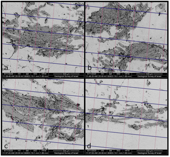 Magnetic Fabrics and Petrography of Rocksalts Reveal Preferred ...
