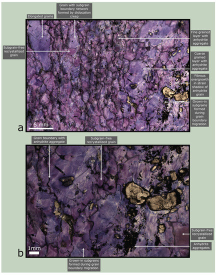 Magnetic Fabrics and Petrography of Rocksalts Reveal Preferred ...