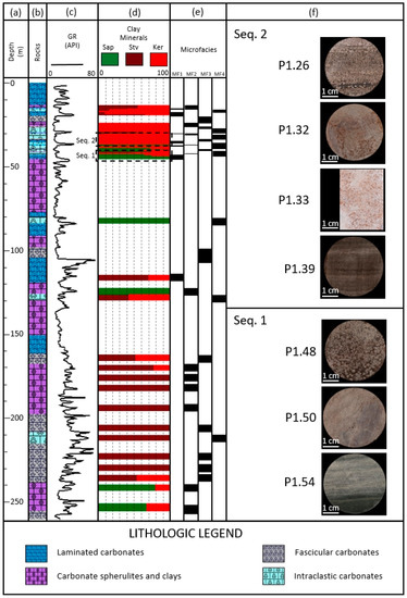 Paleoenvironmental Implications of Authigenic Magnesian Clay Formation ...