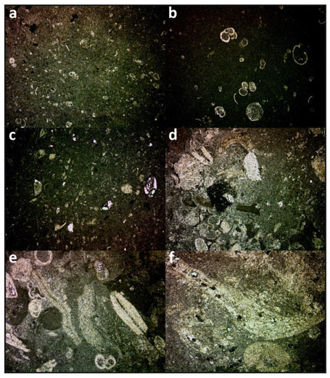 Reassessing Depositional Conditions of the Pre-Apulian Zone Based on ...