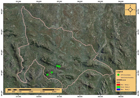Evaluation of Efficiency of Using Mechanized Processing Techniques to ...