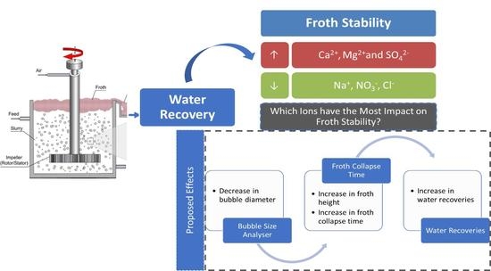 Minerals | Free Full-Text | Considering Specific Ion Effects on Froth ...