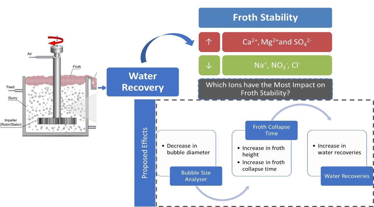 Minerals | Free Full-Text | Considering Specific Ion Effects on Froth ...