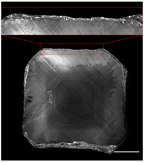 Regeneration Growth as One of the Principal Stages of Diamond ...