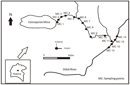 Hydrochemical Characterization of an Acid Mine Effluent from Concepcion ...