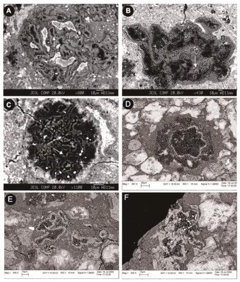 A Review of Research on Grove Mountains CM-Type Chondrites