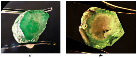 Minerals | Free Full-Text | Fluid Inclusion and Chemical Composition ...