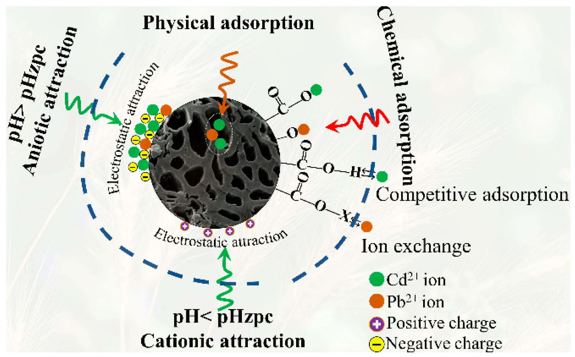 Adsorption Adsorption