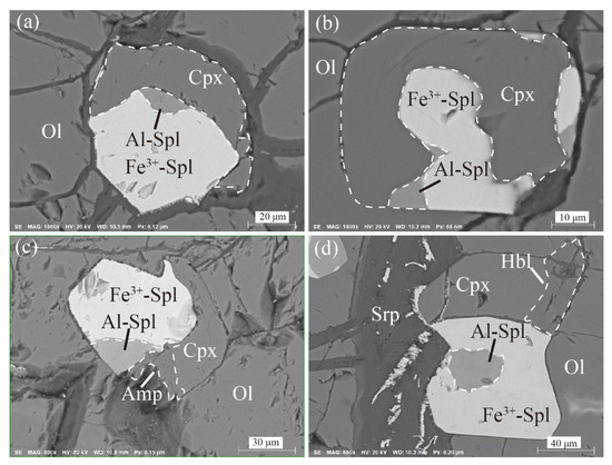 Fluid-Induced Inhomogeneous Cr-spinel in Dunite and Wehrlite from the ...