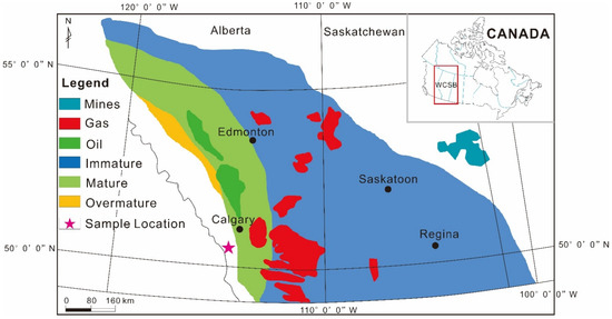 Investigation on Oil Physical States of Hybrid Shale Oil System: A Case ...