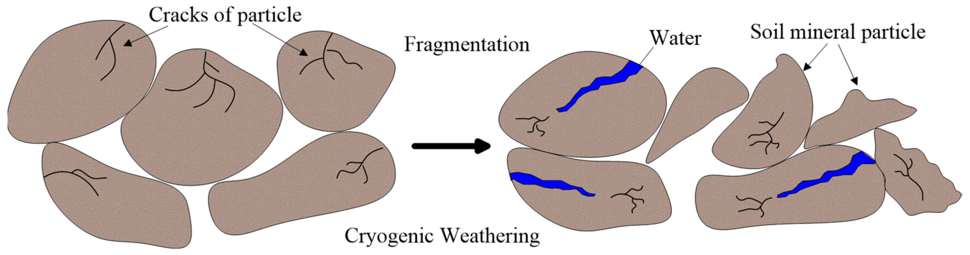 Cryogenic Soil—Product of Mineral Weathering Processes