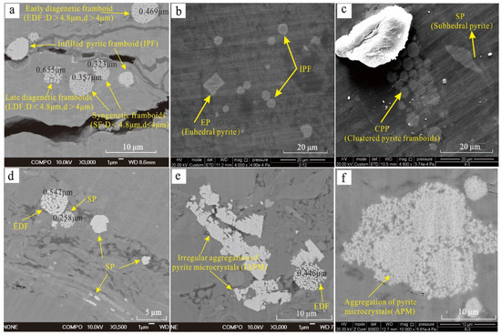 Pyrite Characteristics and Its Environmental Significance in Marine ...