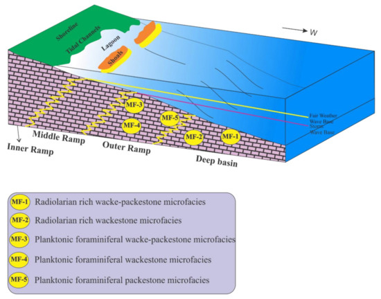 Minerals | Free Full-Text | Paleoenvironmental and Bio-Sequence ...