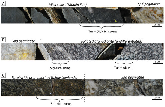 Minerals | Free Full-Text | Rare Element Enrichment in Lithium ...