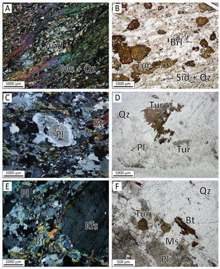 Minerals | Free Full-Text | Rare Element Enrichment in Lithium ...