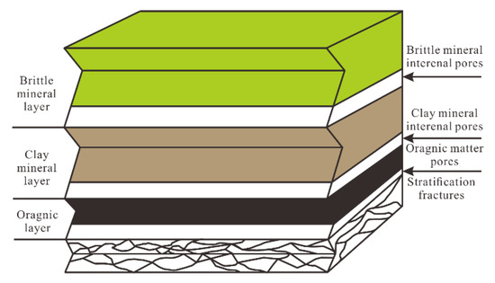 Quantitative Characterization and Controlling Factors of Shallow Shale ...
