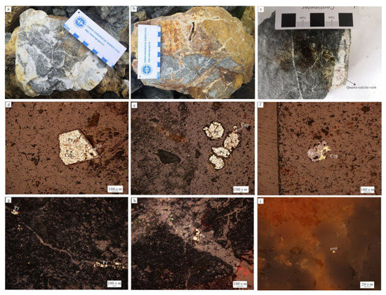 Trachyte Porphyry Thin Section