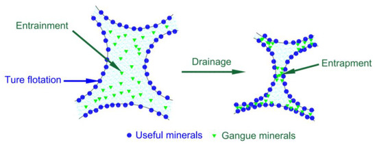 Understanding the Entrainment Behavior of Gangue Minerals in Flake ...