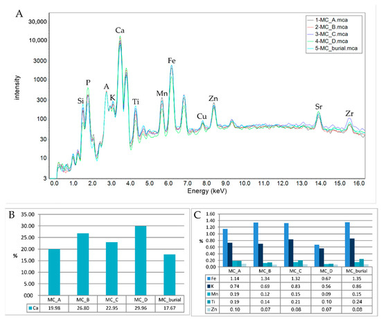 Some Notes on Dense Structures Present in Archaeological Plant Remains ...