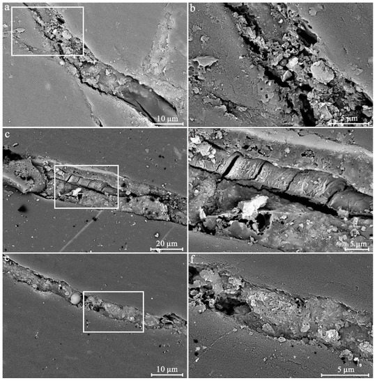 Microstructural Characteristics of Graphite Microcrystals in Graphitized Coal: Insights from ...