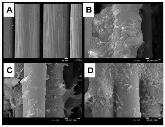 Electrochemical Responses and Microbial Community Shift of ...
