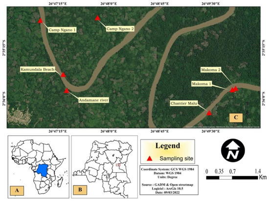 Minerals | Free Full-Text | High Environmental Radioactivity in Artisanal and Small-Scale Gold ...