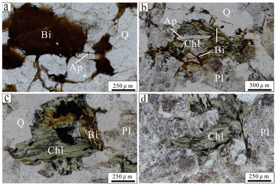 Mineralogical Characteristics of Biotite and Chlorite in Zuluhong ...
