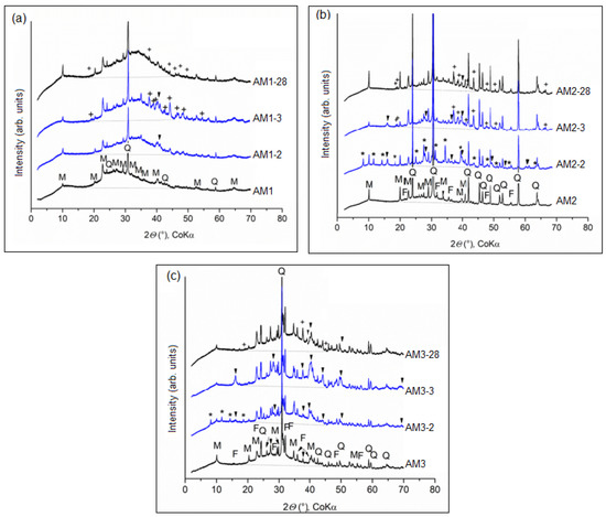 Alkali-Activated Metakaolins: Mineral Chemistry and Quantitative ...