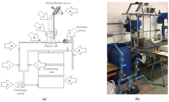 Flotation Performance and Gas Dispersion Properties in a Laboratory ...