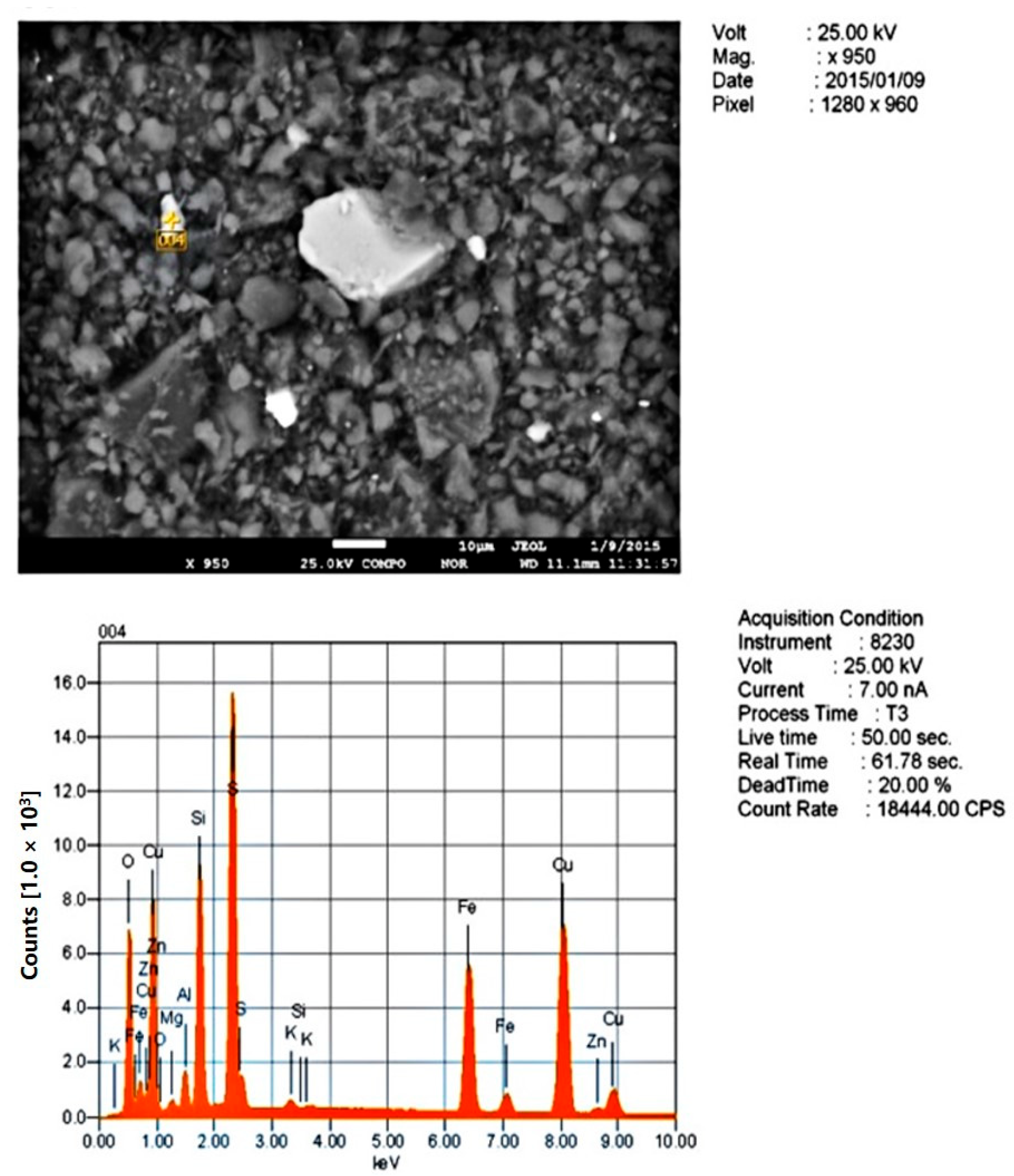 Improving the Copper-Molybdenum Ores Flotation Technology Using a Combined Collecting Agent