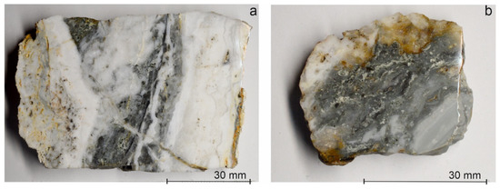 The Role of Selenium and Hydrocarbons in Au-Ag Ore Formation in the ...