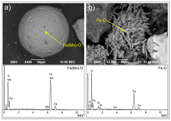 Minerals | Free Full-Text | Solid Carriers of Potentially Toxic ...
