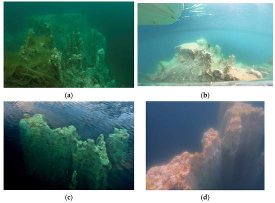 Minerals | Free Full-Text | Mineral Changes to the Tufa Columns of Ikka ...