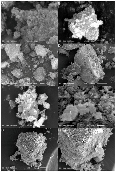 Gibbsite Crystallinity and Morphology in Ferralsols and Bauxites