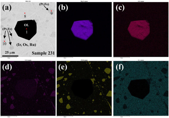 A Combined Re-Os and Pt-Os Isotope and HSE Abundance Study of Ru-Os-Ir ...