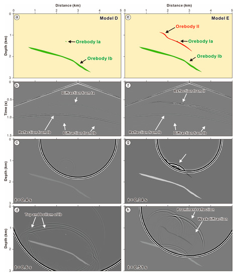 Seismic Wave Finite-Difference Forward Modeling for Orogenic Gold Deposits