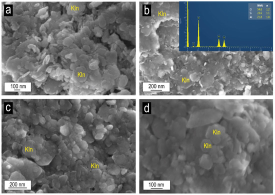 Mineralogical and Sedimentological Characterization of the Clay-Rich ...