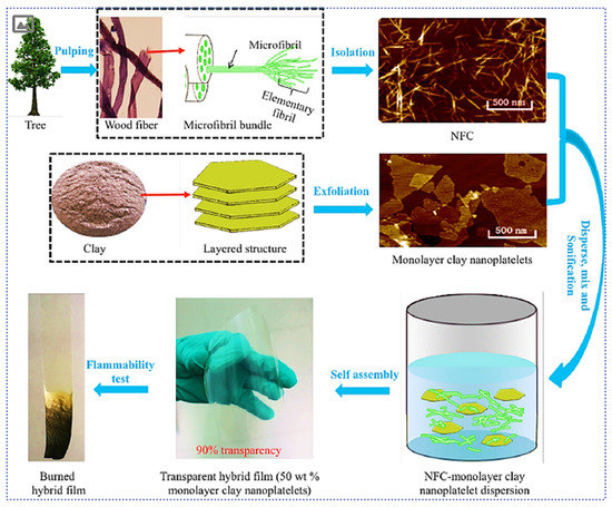 State-of-the-Art Nanoclay Reinforcement in Green Polymeric ...